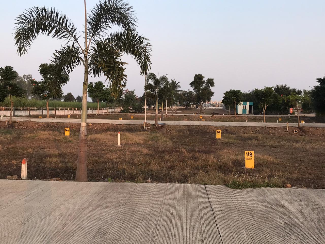 Falcon Realty